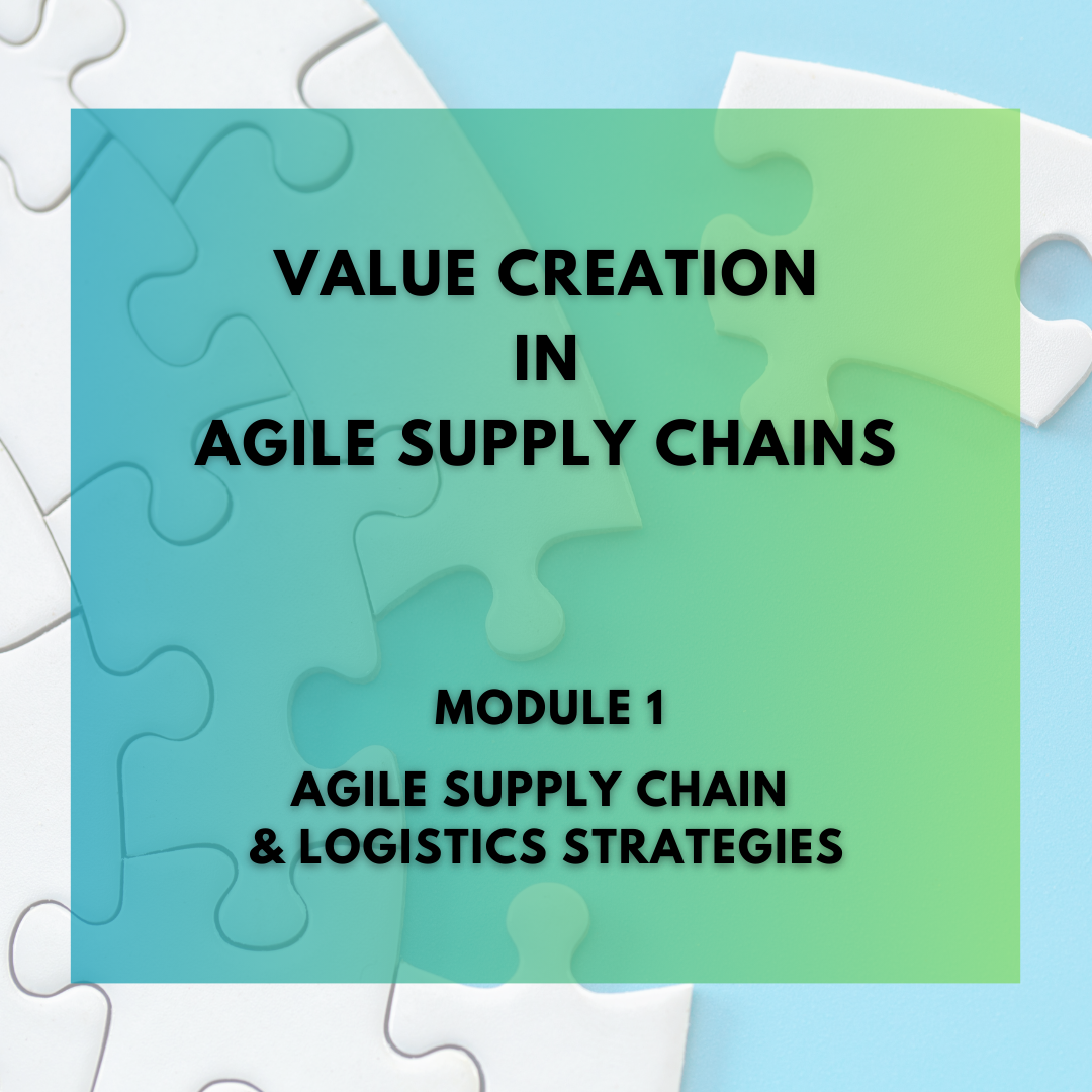 Value Creation in Agile Supply Chains – The Logistics Institute